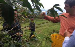 A Gratitude Journey with A.J. Jacobs - Scott Barry Kaufman