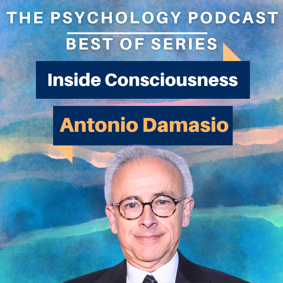 Best of Series: Inside Consciousness || Antonio Damasio - Scott Barry ...